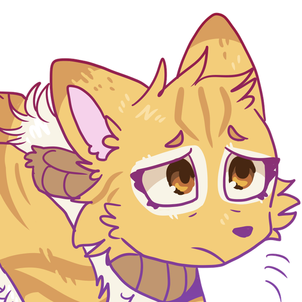 Cat Original Characters (OCs) | CharacterHub