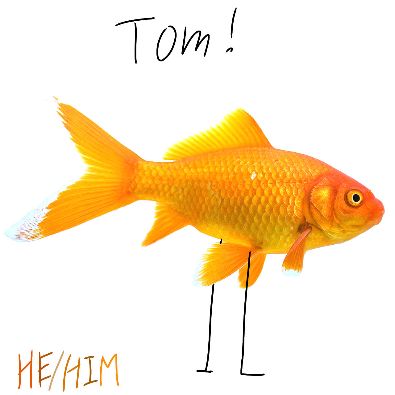 Dumb Original Characters (OCs) | CharacterHub