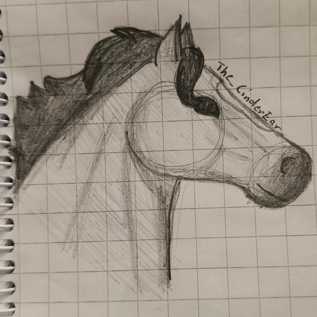 Horse Original Characters (OCs) | CharacterHub
