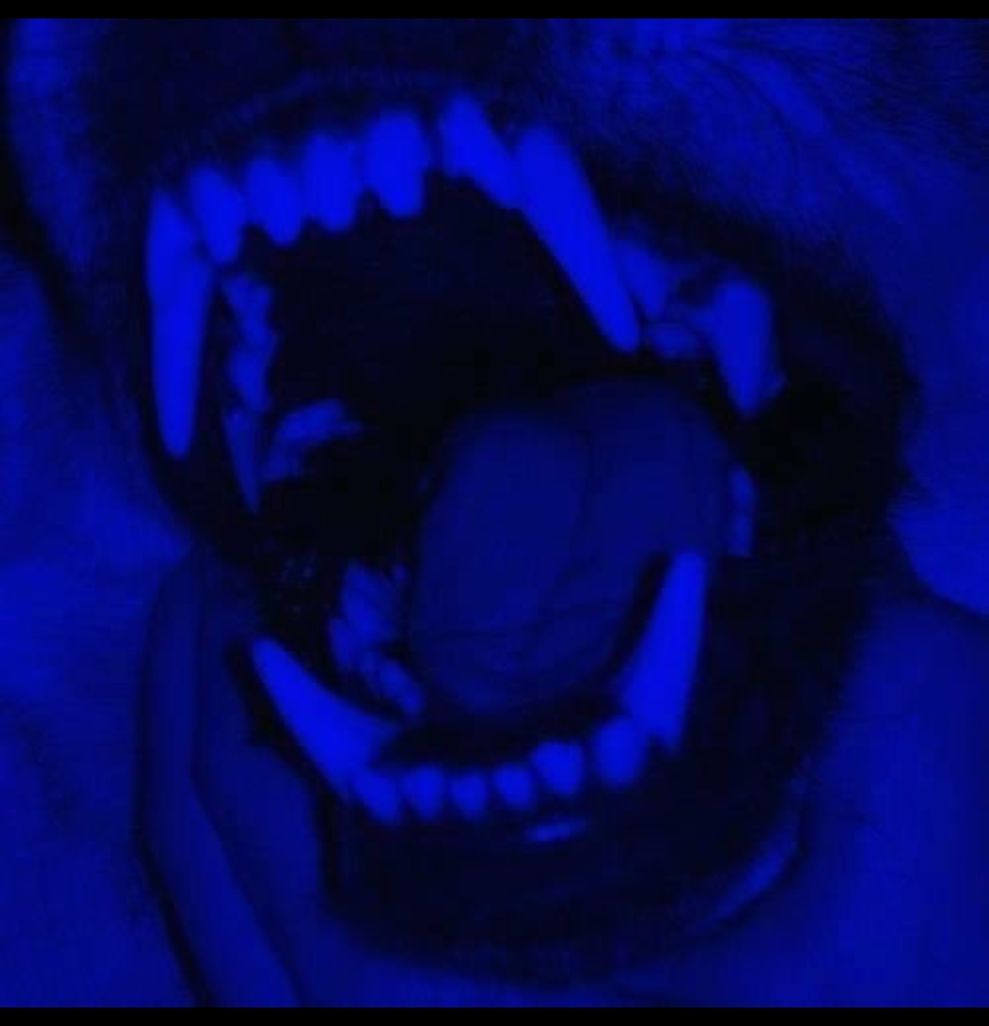 Chaotic Evil Original Characters (OCs) | CharacterHub